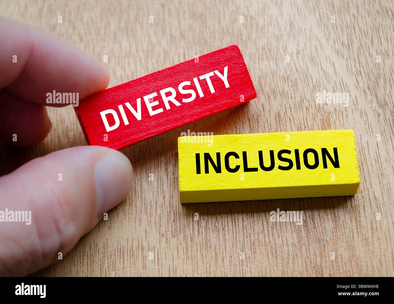 Diversity and Inclusion shown by hand holding red and yellow wooden ...