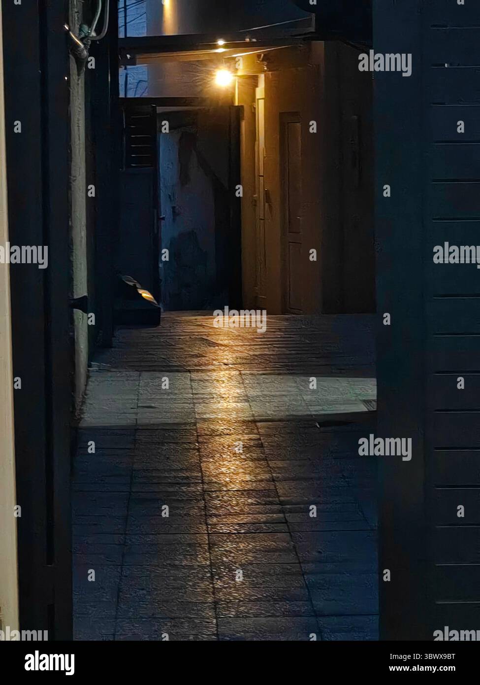 Alley Street at Night: Corner Perspective Under Streetlight Glow Stock ...