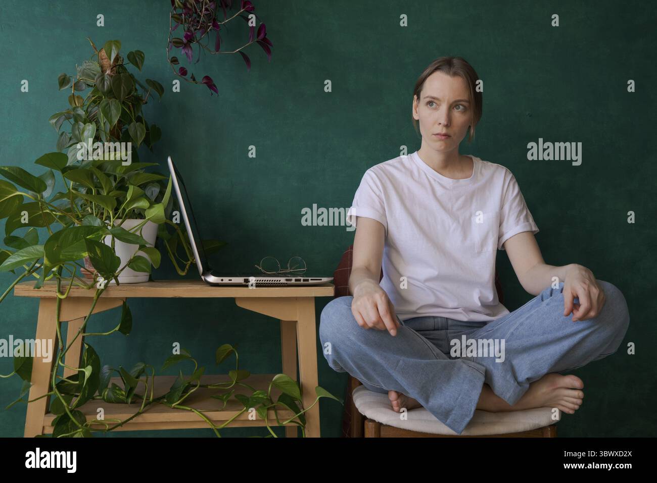 Plants next to computer hi-res stock photography and images - Alamy