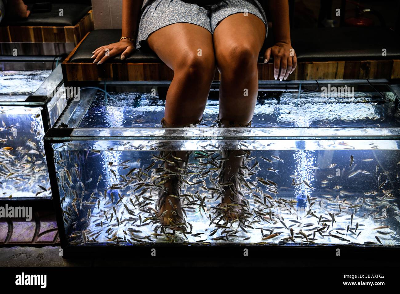 Thailand Bangkok Chinatown Fish Therapy Stock Photo - Alamy