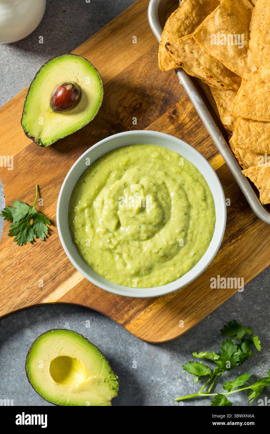 Homemade Healthy Mexican Avocado Salsa with Tortilla Chips Stock Photo ...
