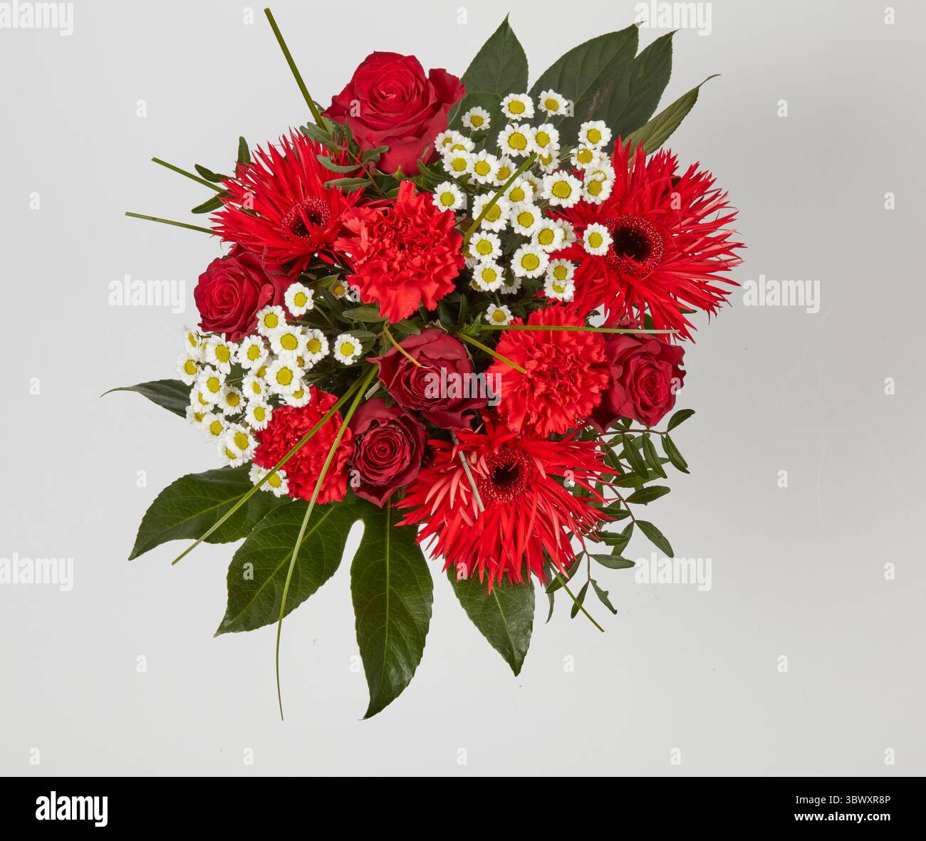 Red flower bouquet, top view isolated nature background with clipping ...