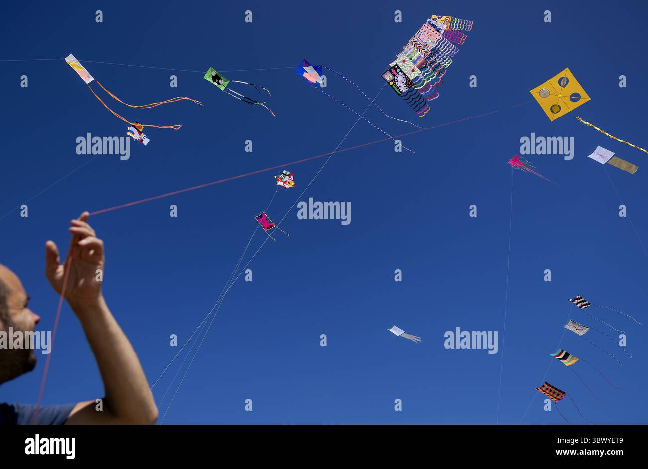 WASSENAAR - Members of the Kite Club, a collective of artists and kite ...