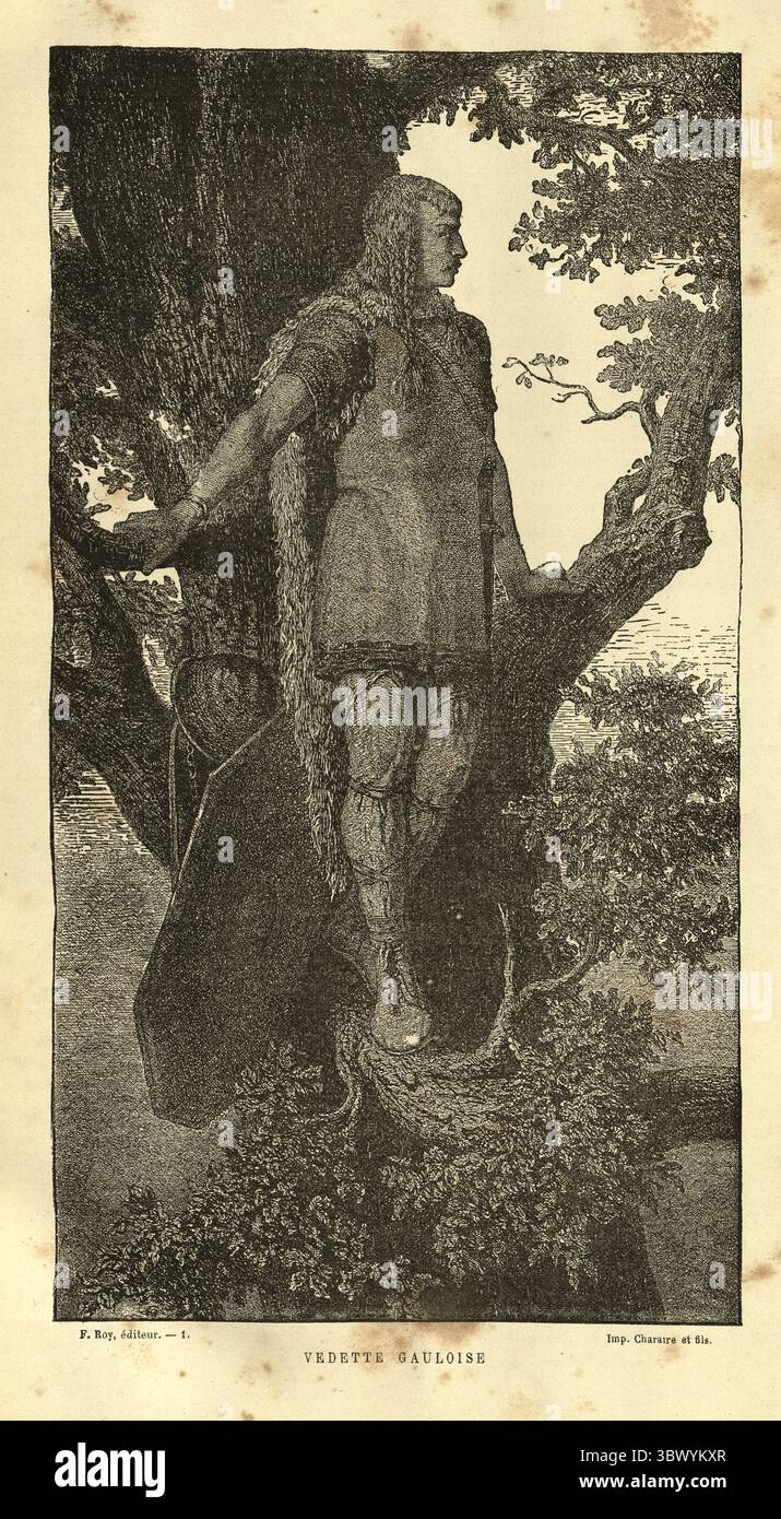 Ancient gaul warrior, lookout in a tree, Vinatge illustration Stock ...