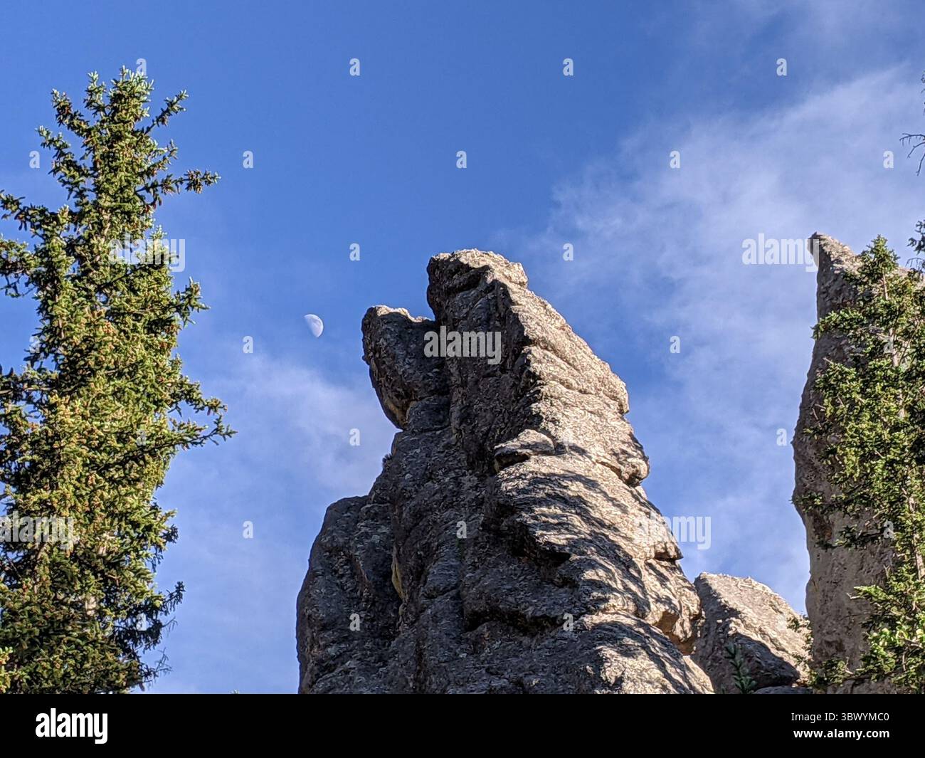 18 needles hi-res stock photography and images - Alamy