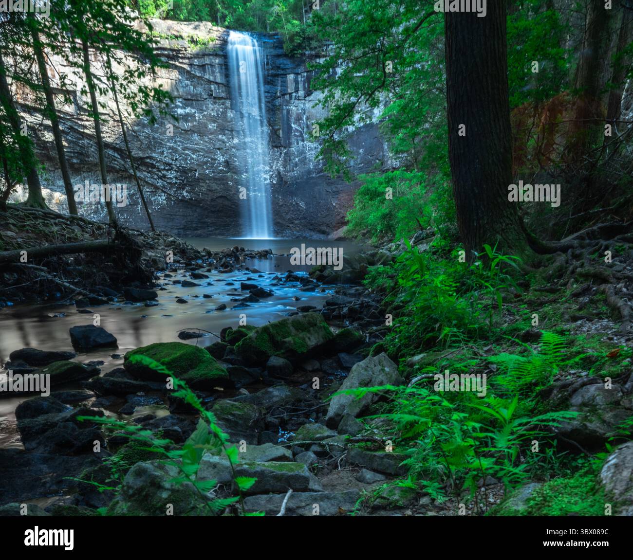 Nature waterfall in early hi-res stock photography and images - Alamy
