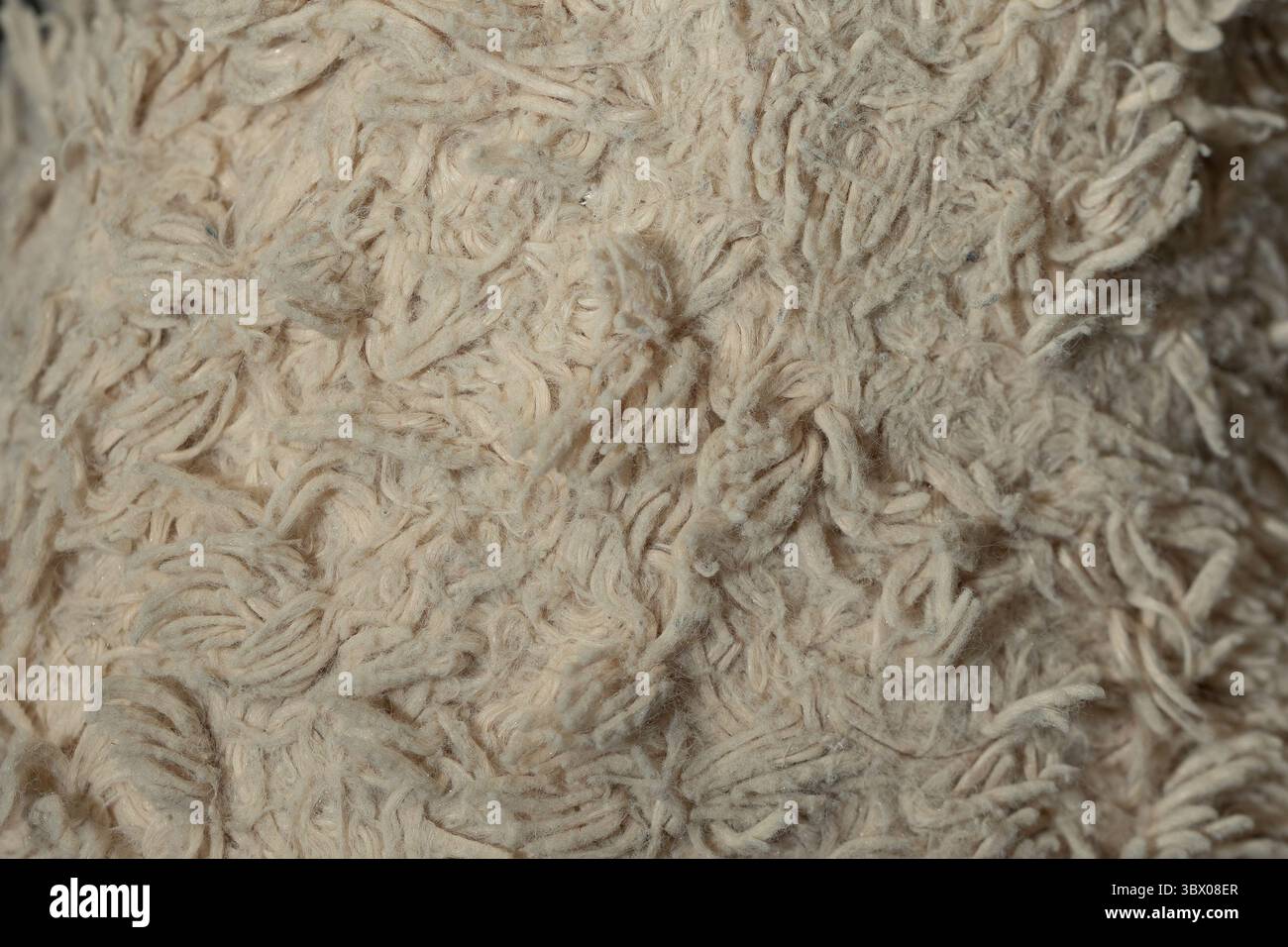 A close-up view reveals a textured surface made of soft, fluffy fibers ...