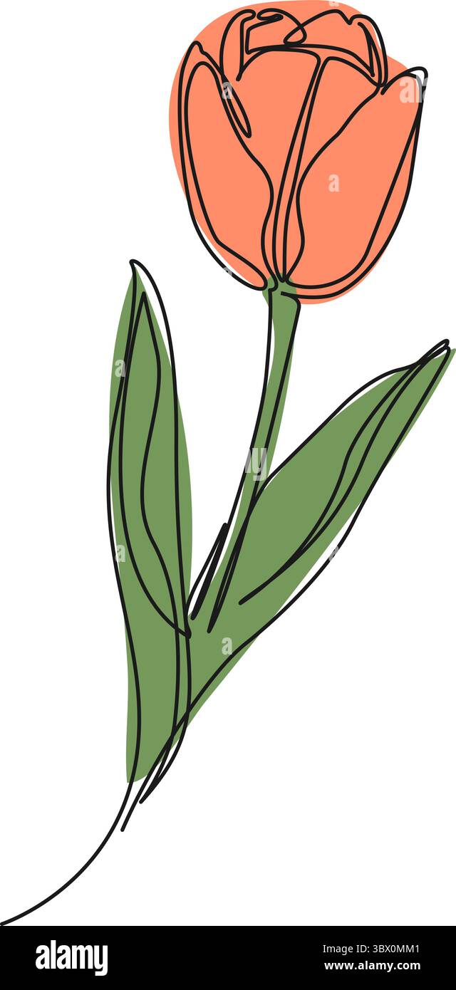 continuous single line drawing of a single tulip flower, line art ...