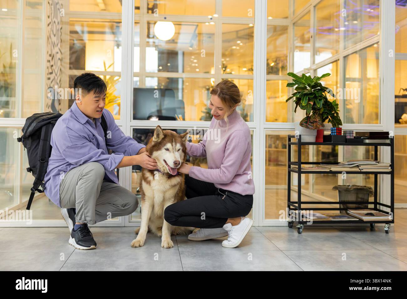 Two colleagues in a coworking area with a dog Stock Photo - Alamy