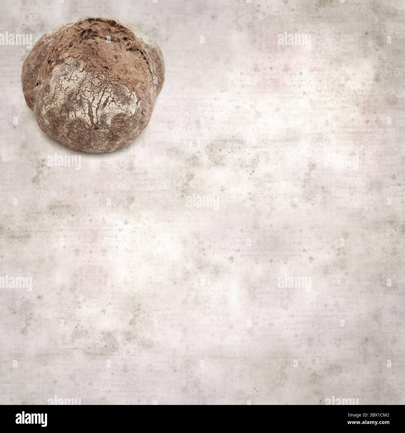 square stylish old textured paper background with round boule of malt ...