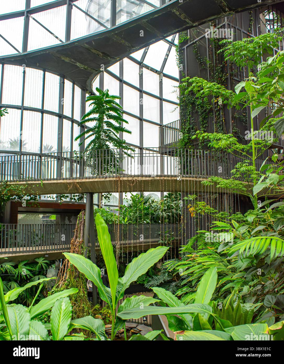 Modern architectural design featuring eco hi-res stock photography and ...