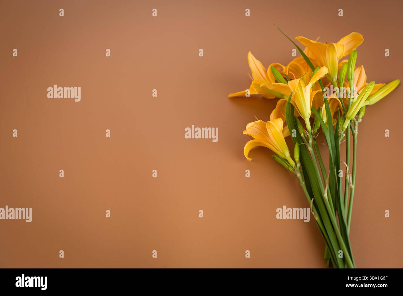 Elegant lily flowers in mocha tone setting Stock Photo - Alamy