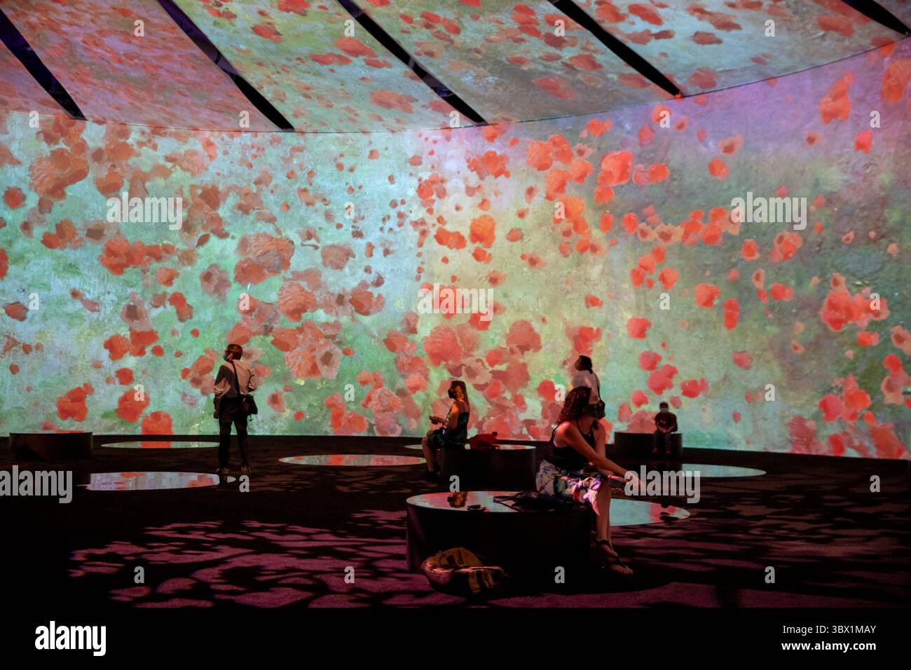 August 11, 2021, Toronto, Ontario, Canada: People attending the Beyond ...