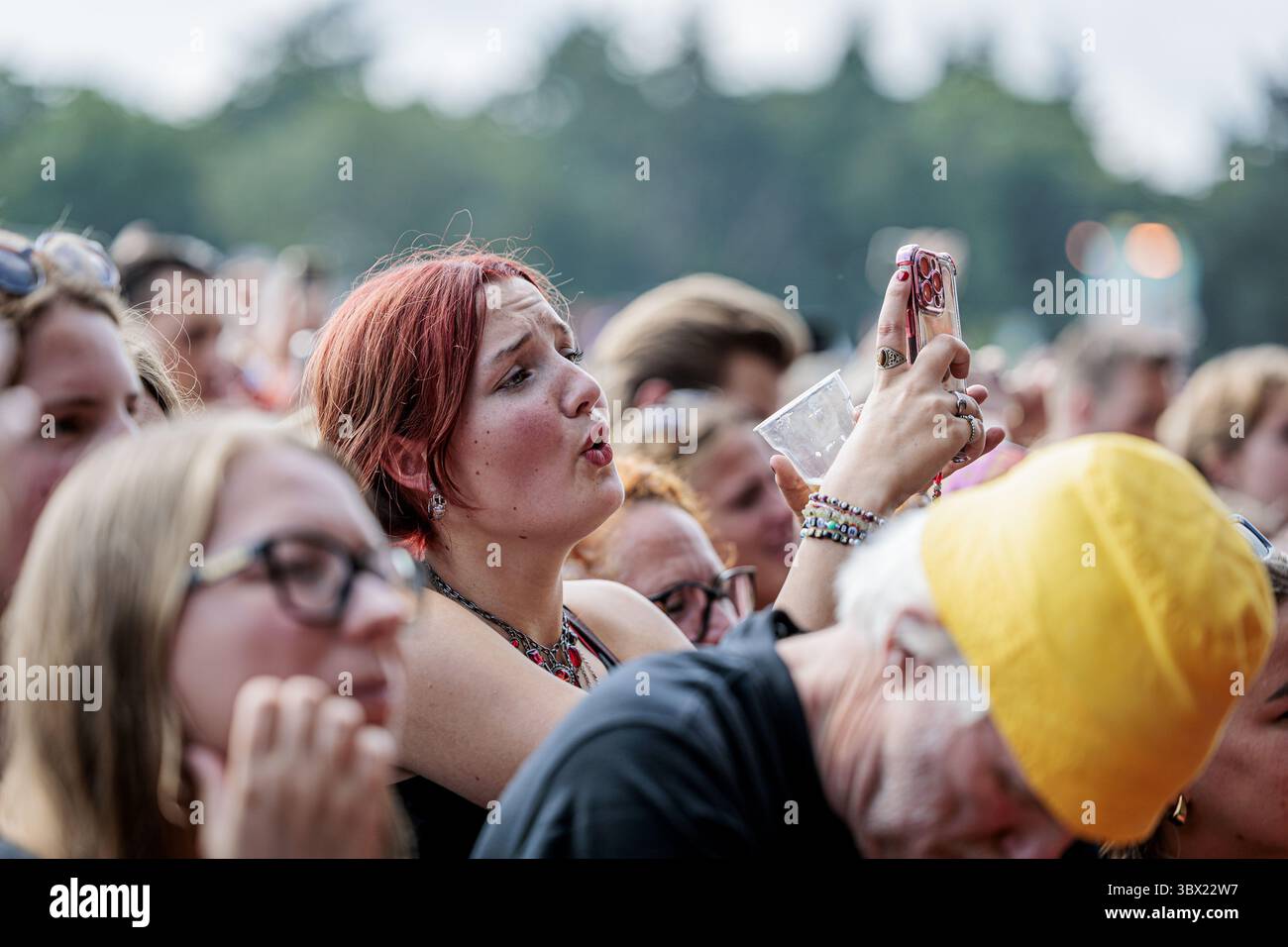LICHTENVOORDE - Racoon on the first day of festival Zwarte Cross. The ...