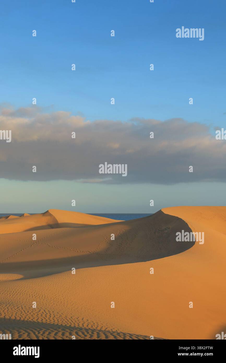 Golden sand dunes stretch across the landscape, with a vast blue sky ...