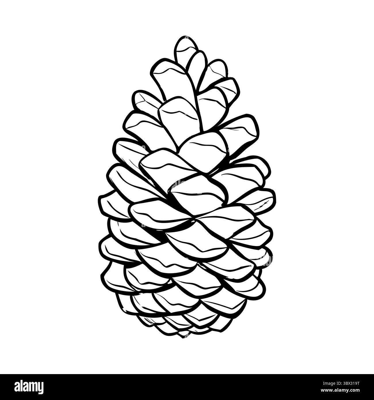 A detailed illustration of a pine cone. The pine cone is depicted in a ...