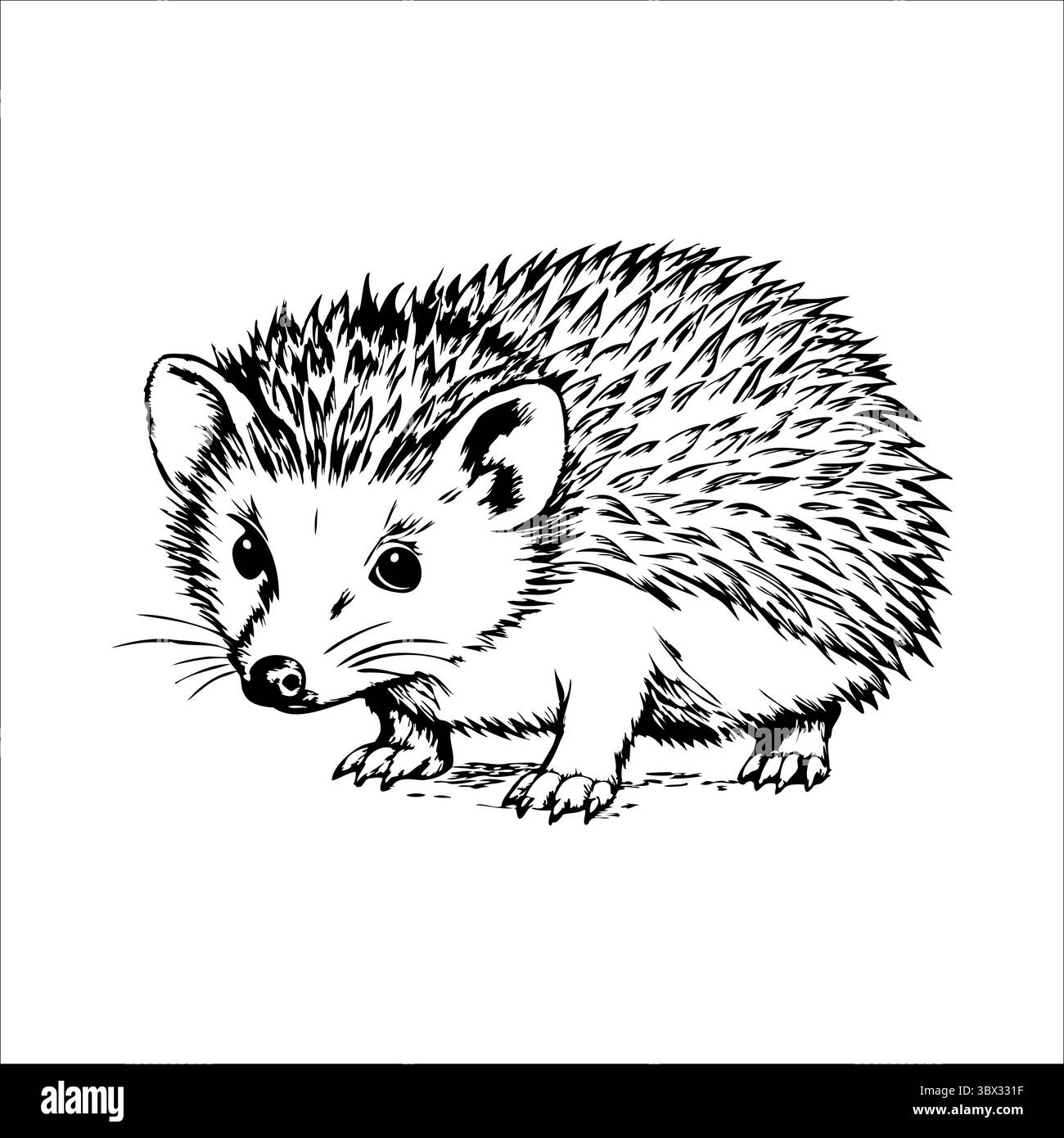 A detailed illustration of a hedgehog with spiky fur and a small face ...
