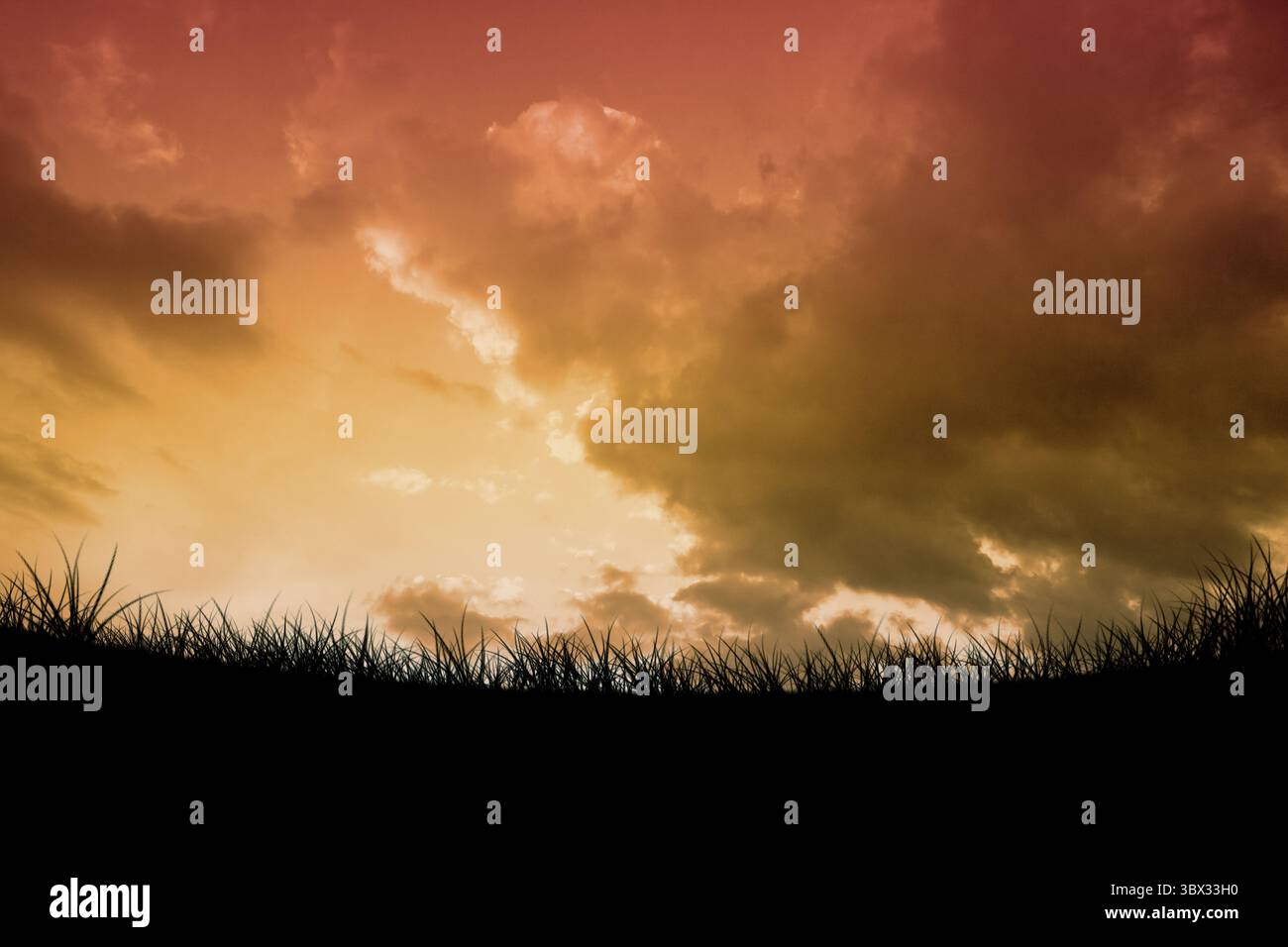 Flat design is showing silhouetted grass along horizon under layered ...