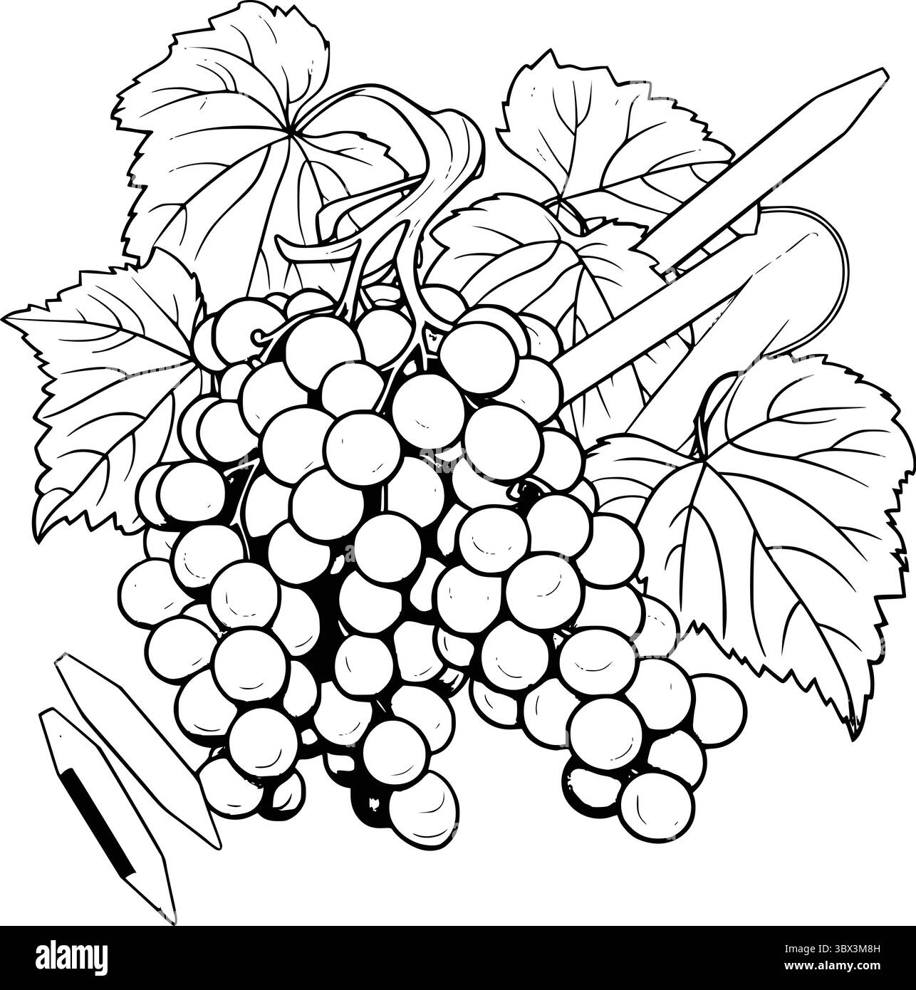 Grapes Coloring Page For Kids Stock Vector Image & Art - Alamy
