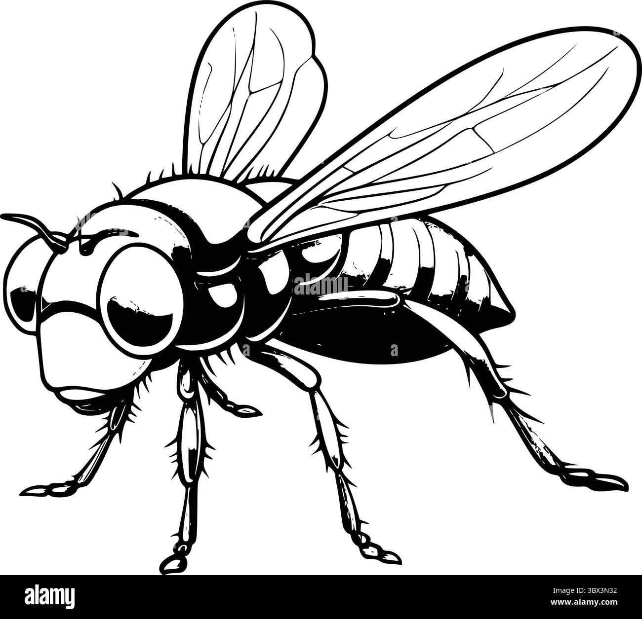 Green Fly Coloring Page for Kids Stock Vector Image & Art - Alamy