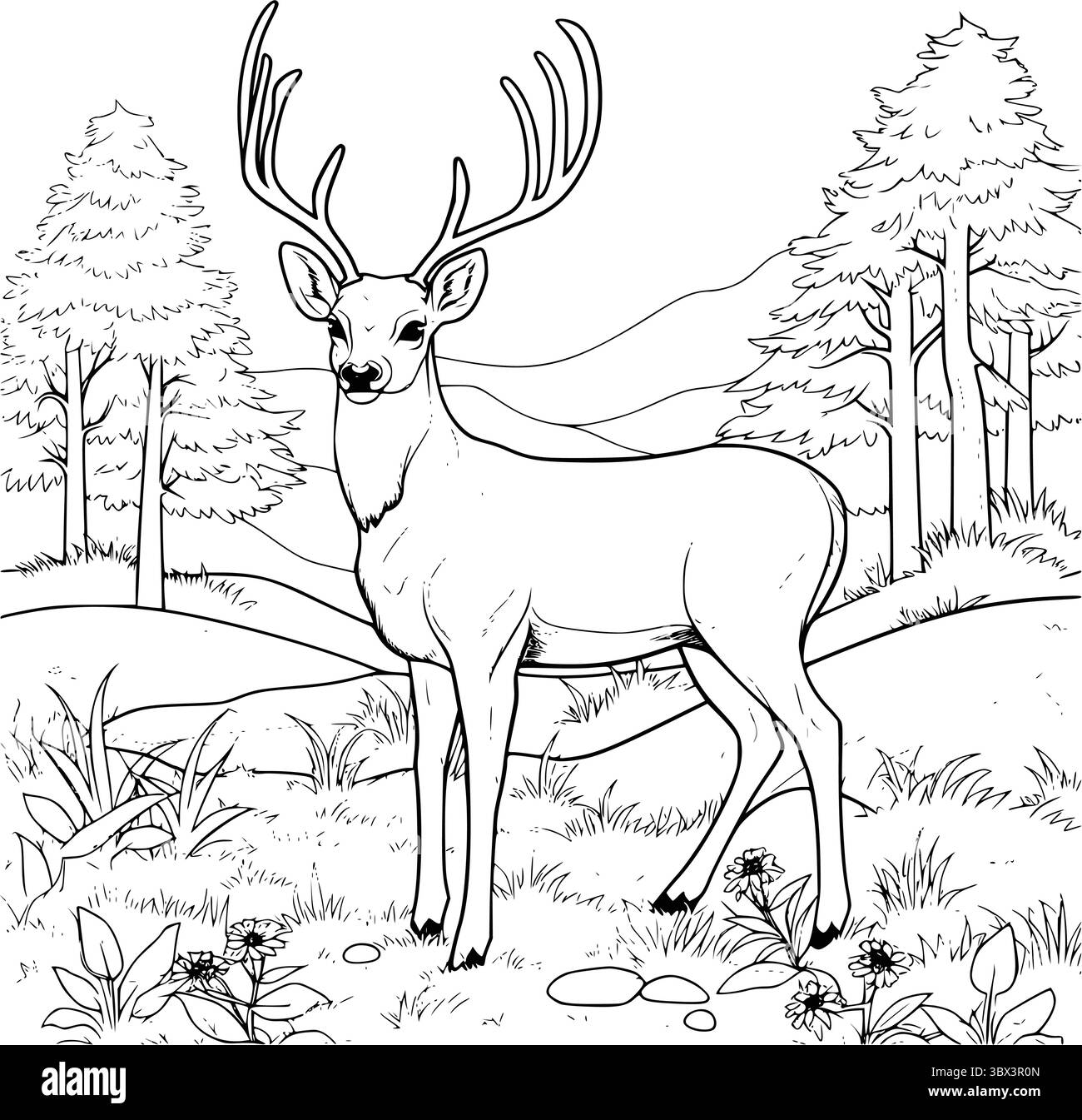 Happy Deer Coloring Page Drawing For Kids Stock Vector Image & Art - Alamy