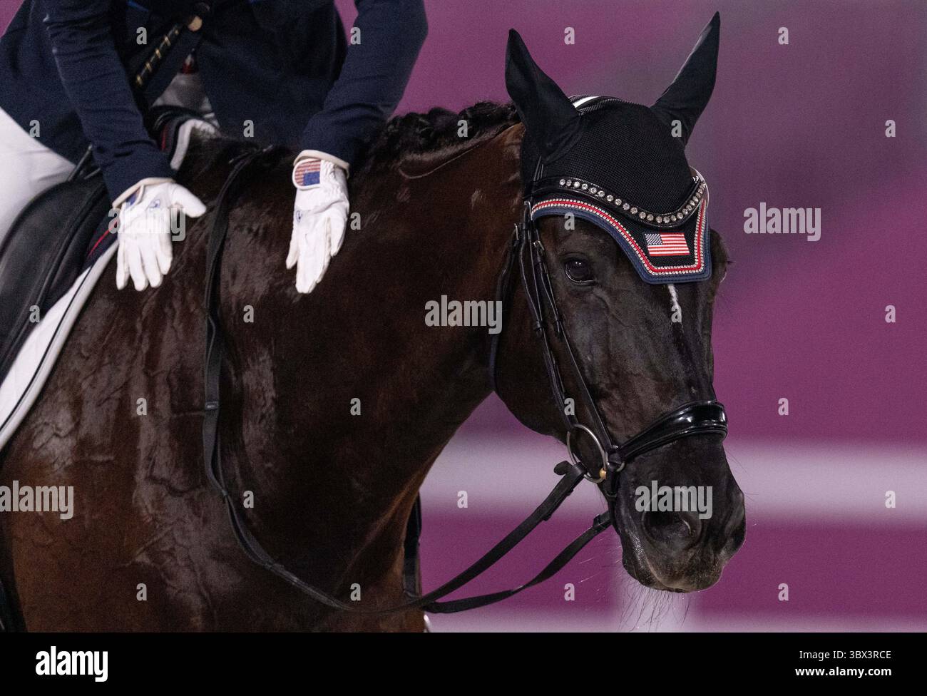 August 26, 2021, Tokyo, Japan: Kate Shoemaker USA pats her horse ...