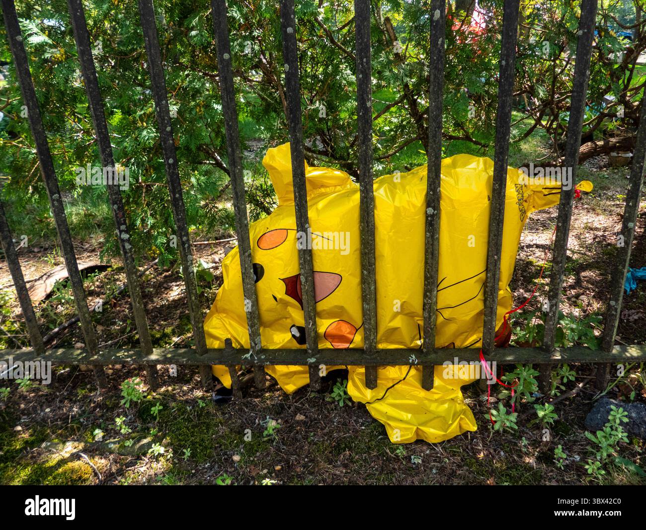 August 27, 2021, Westbury, NY, USA: Long Island, Nassau County. Pikachu ...