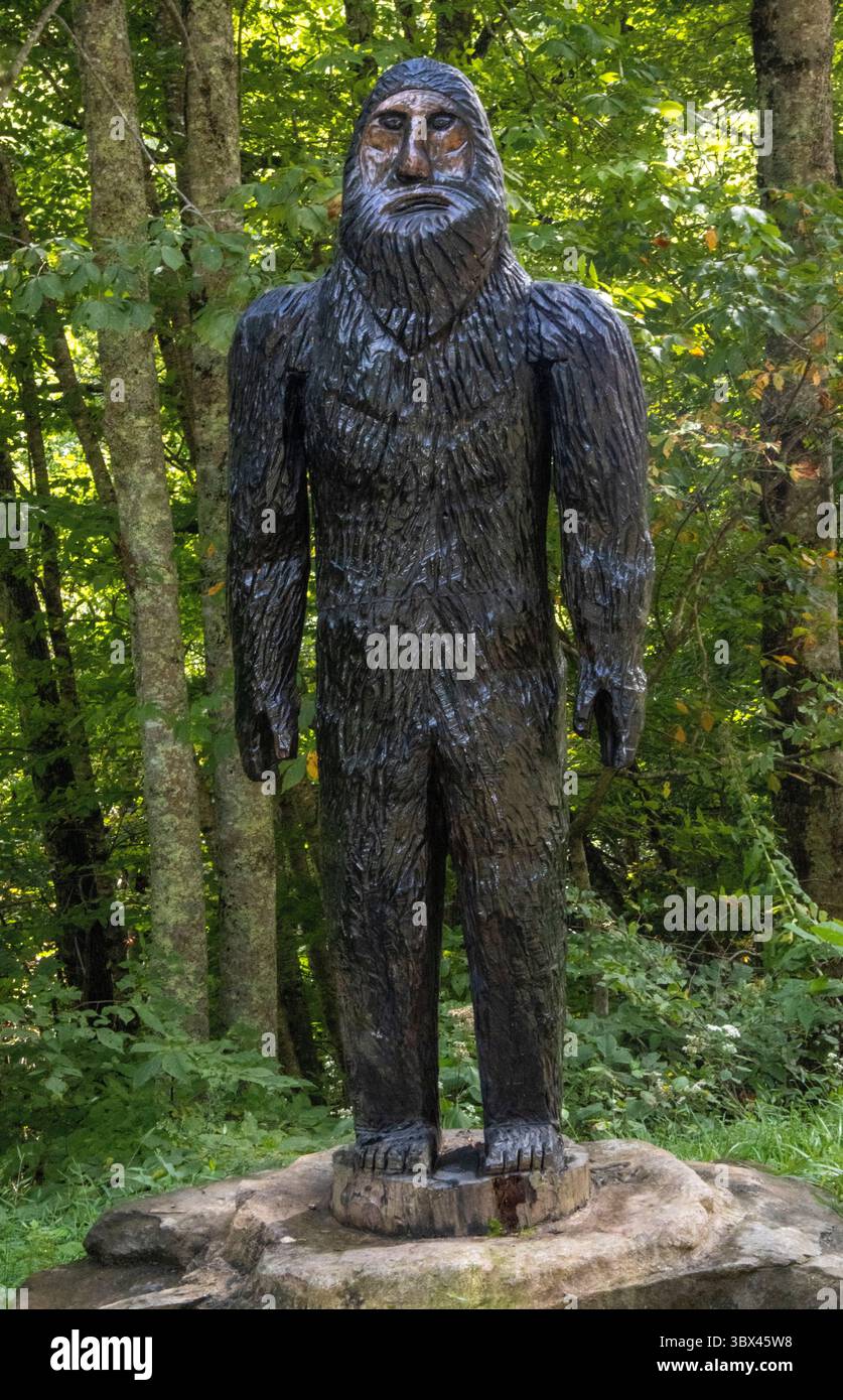 A towering Bigfoot statue stands in Cataloochee, North Carolina—adding ...