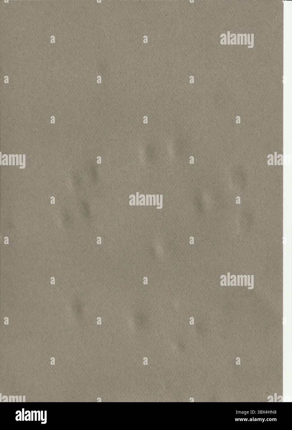 Flat design is showing beige textured surface featuring random dimples ...