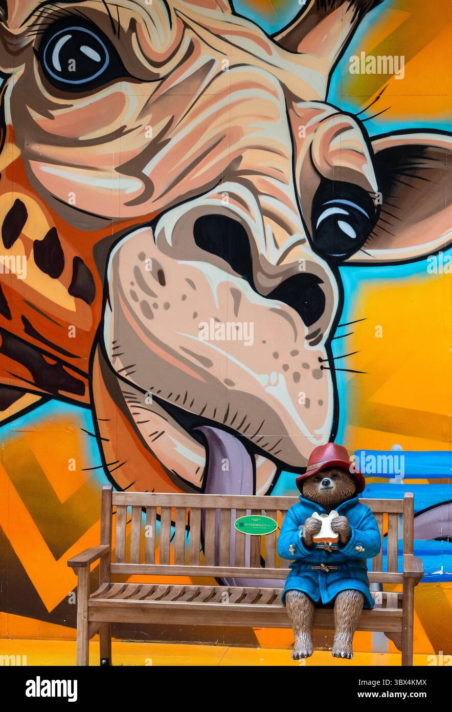 Peterbrough shopping center 17th July 2025; movie star Paddingtington ...