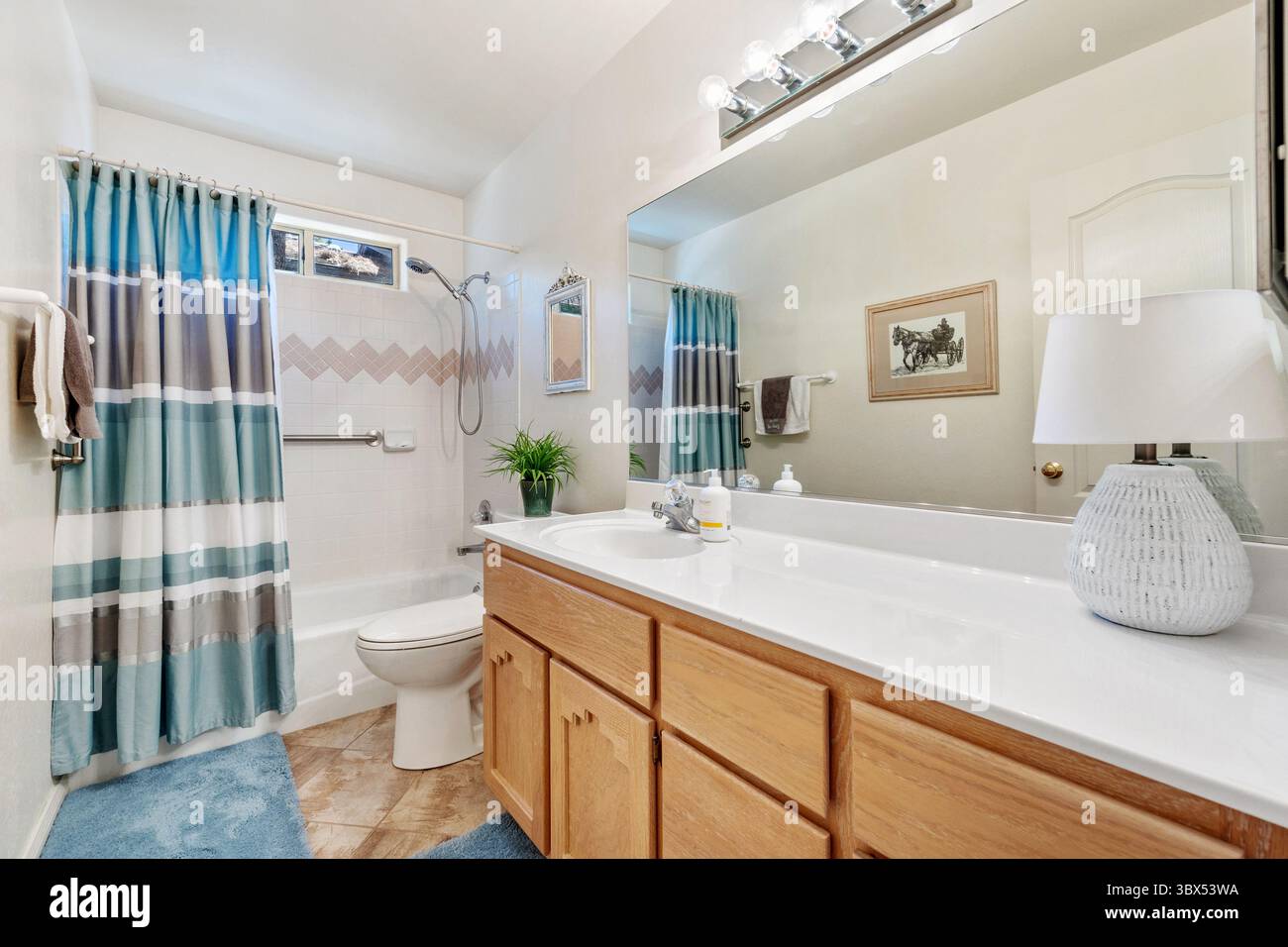 An essential bathroom that includes a sink, toilet, shower, and a ...