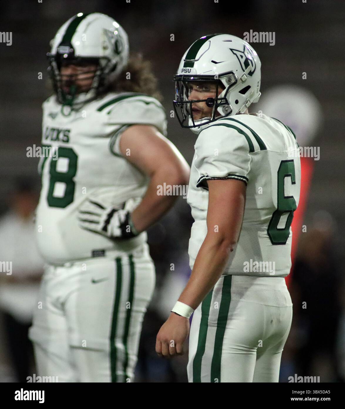 September 4, 2021 - Portland State Vikings quarterback Davis Alexander ...
