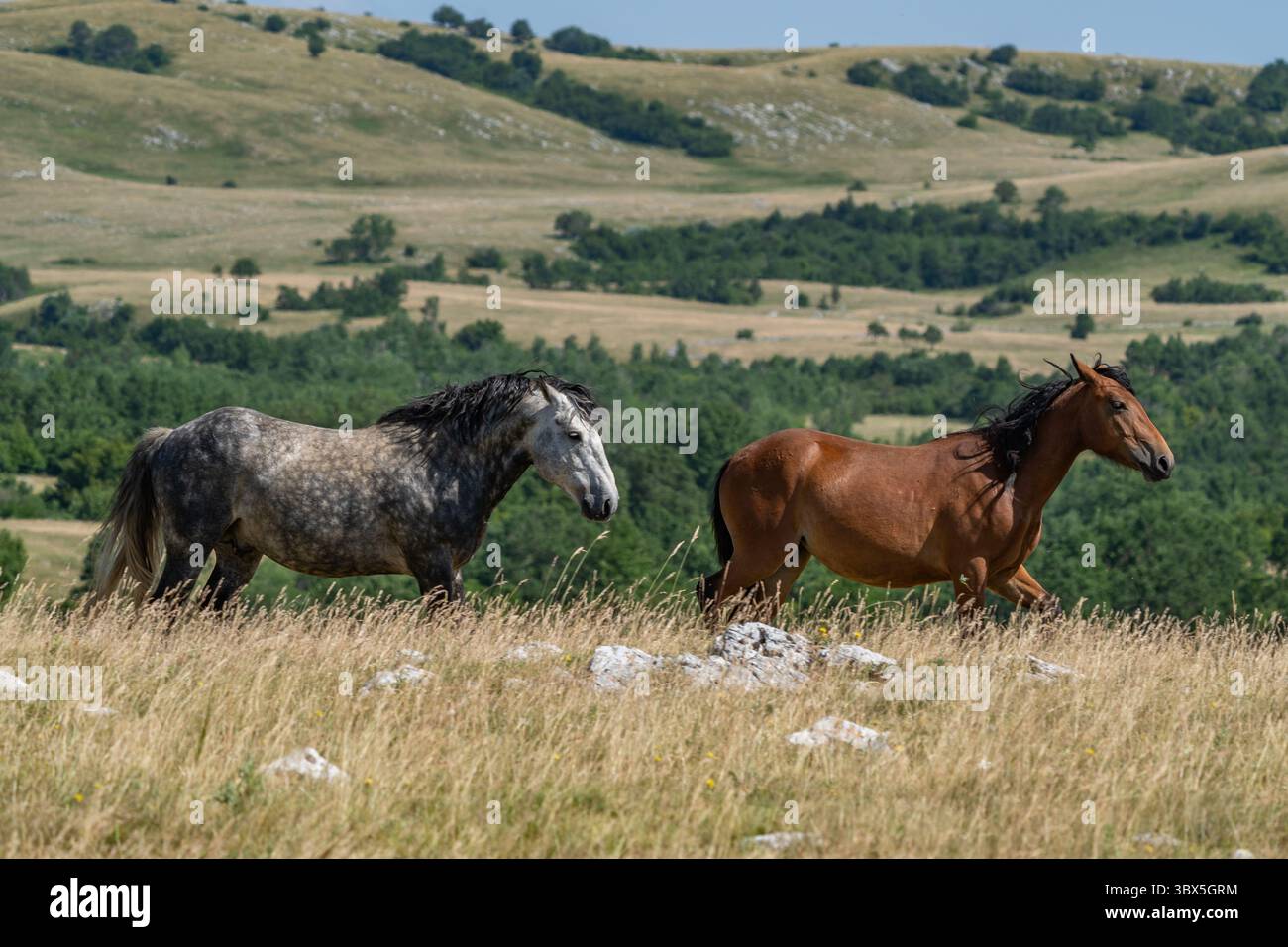 Livno grasslands hi-res stock photography and images - Alamy