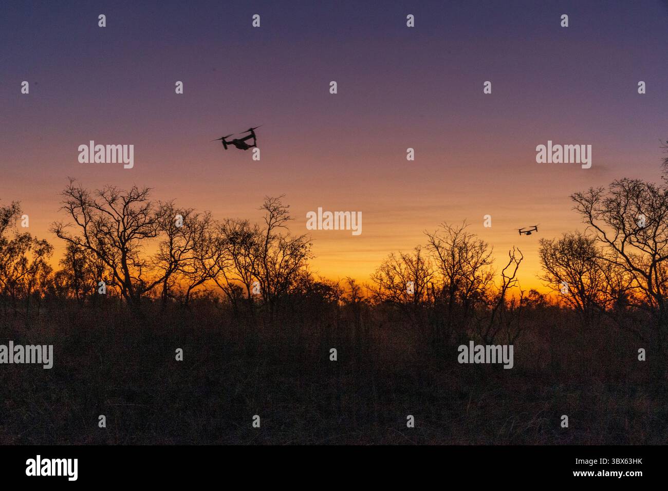 U s marines conduct field hi-res stock photography and images - Alamy
