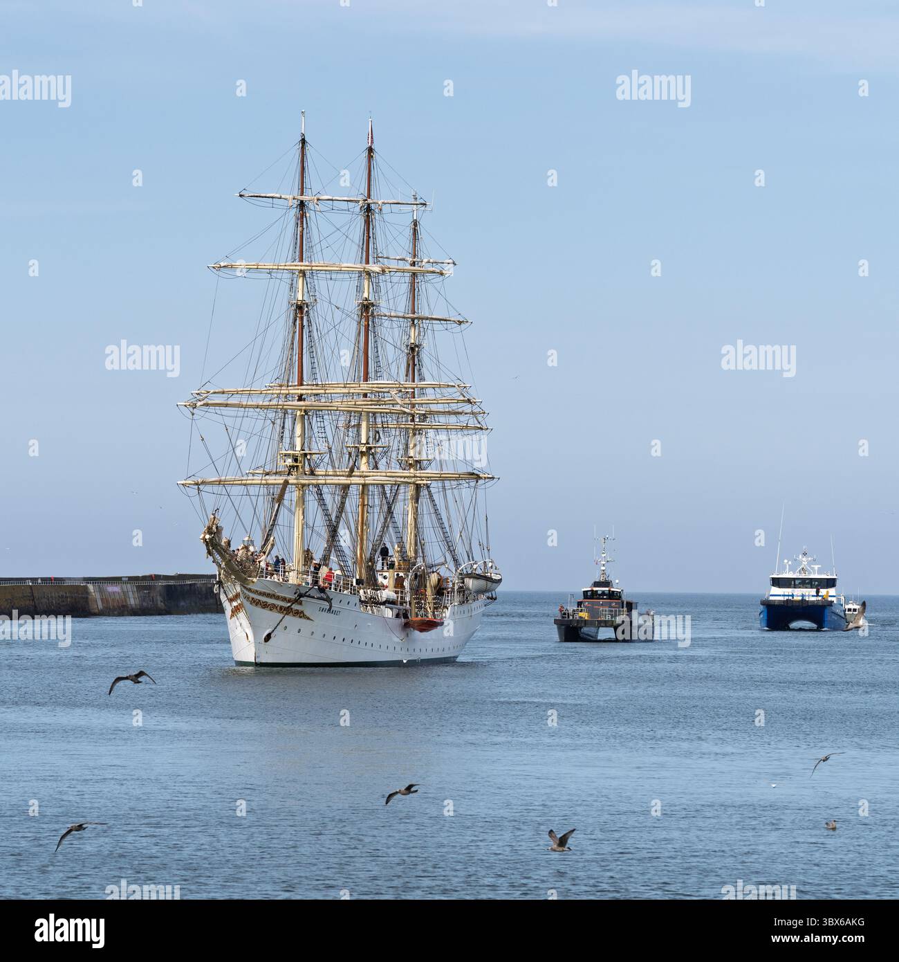 17 July 2025. Aberdeen Harbour,Aberdeen City,Scotland. This is ...