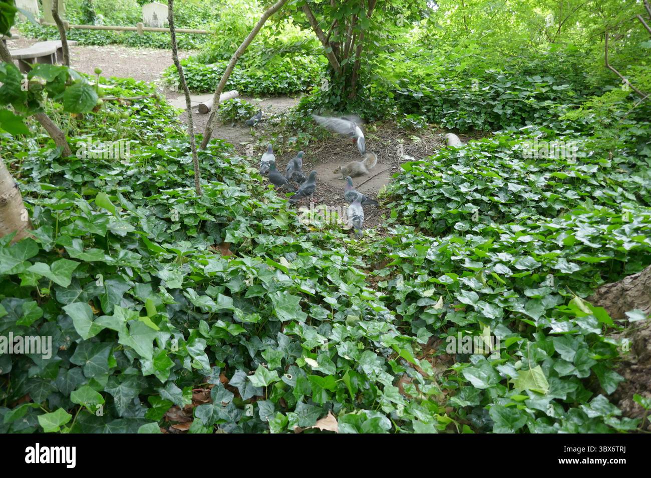 London, England, United Kingdom 27th May 2025 St. Johns Churchyard ...