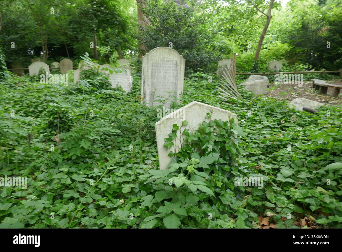 London, England, United Kingdom 27th May 2025 St. Johns Churchyard ...