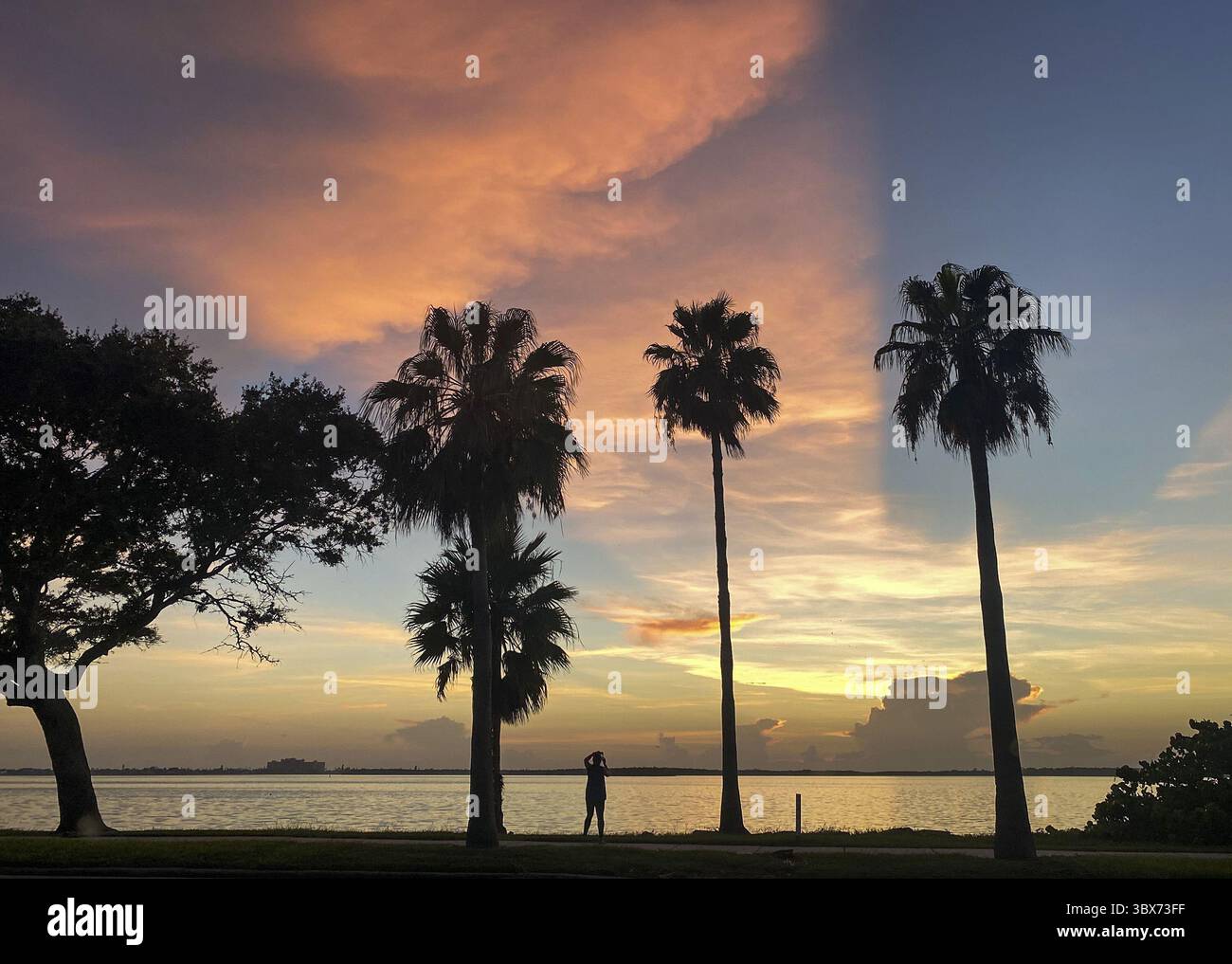 Dunedin florida edgewater drive hi-res stock photography and images - Alamy