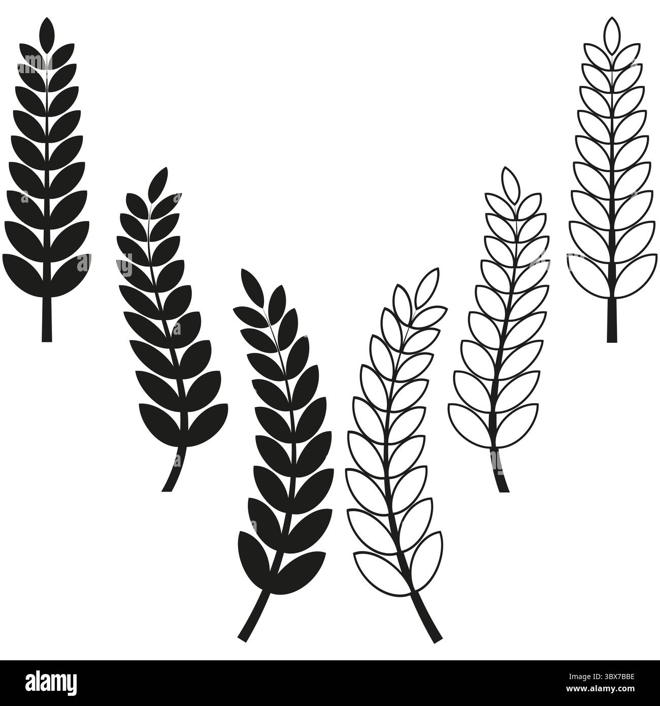 Wheat corner illustration. Grain branch design. Cereal plant Vector ...
