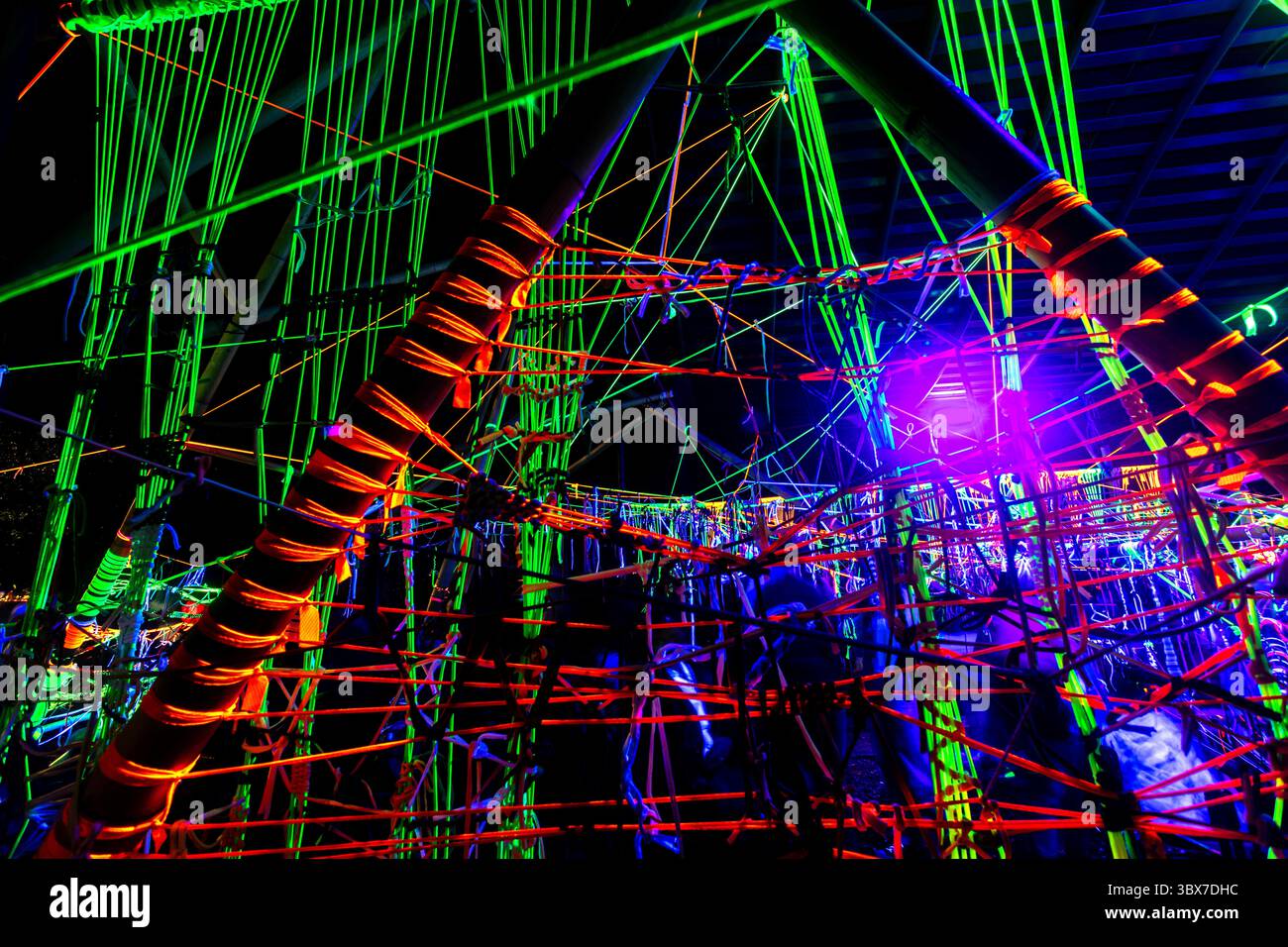 light show in park in Brisbane Australia. Many old fig trees Stock Photo - Alamy