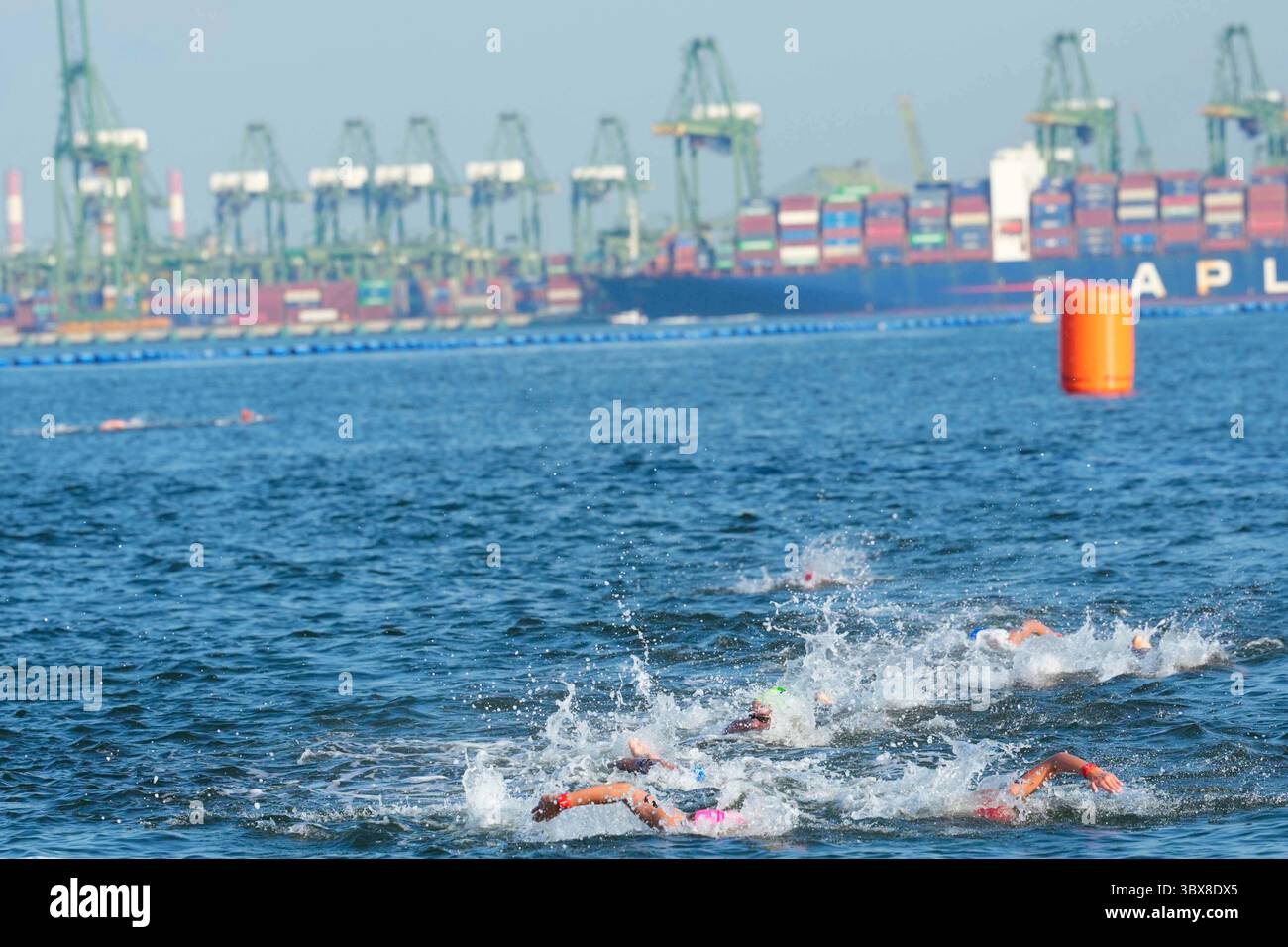 Athletes swim to reach the finish line during the women's 5km open ...