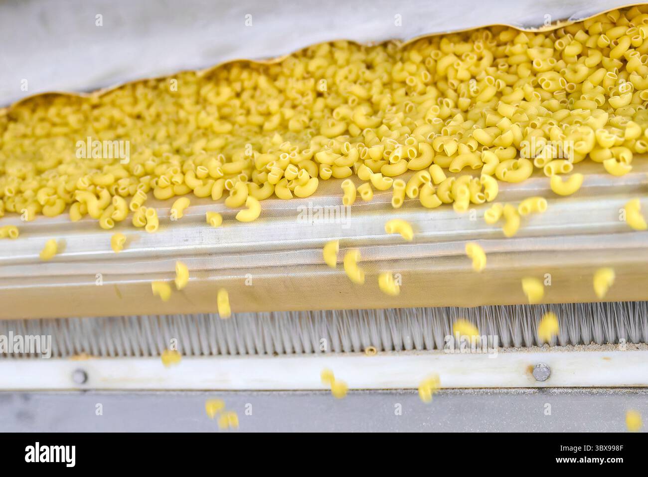 Pasta travels along a conveyor belt in a bustling production facility ...