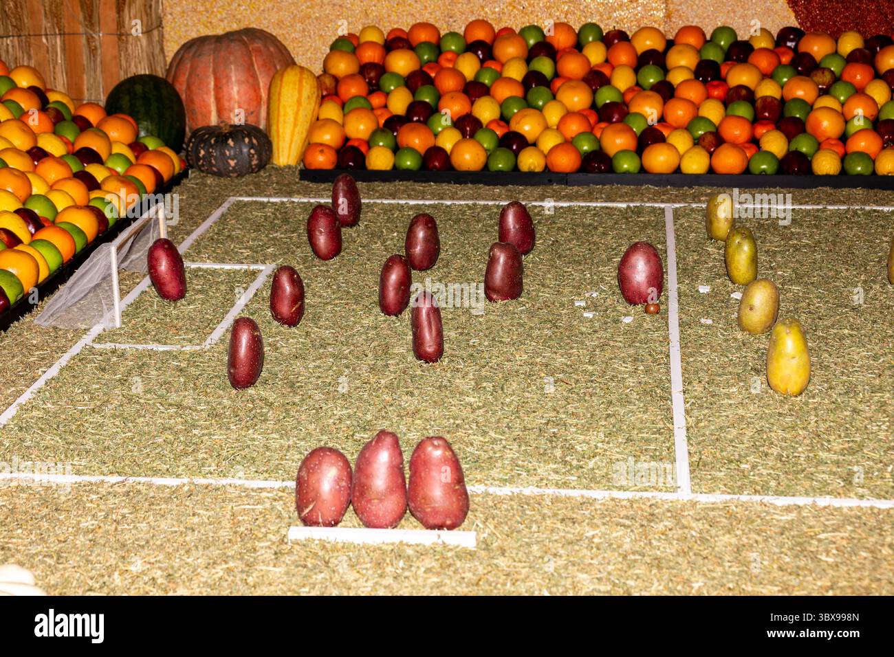 Eating audience hi-res stock photography and images - Alamy