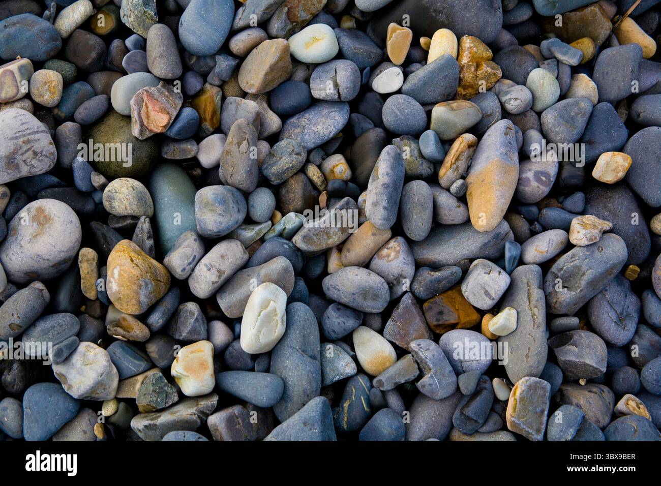 pebbles of all colours on beach Stock Photo - Alamy