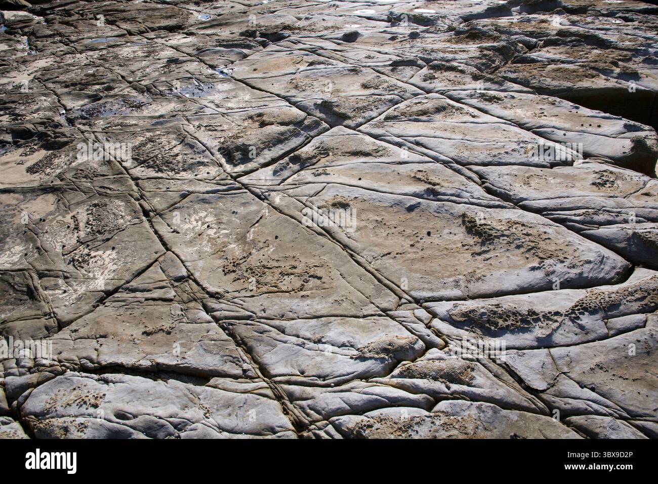 weathering and erosion can make wonderful patterns.Many of Earth's ...