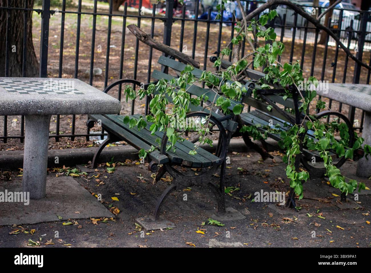 Tompkins tables hi-res stock photography and images - Alamy