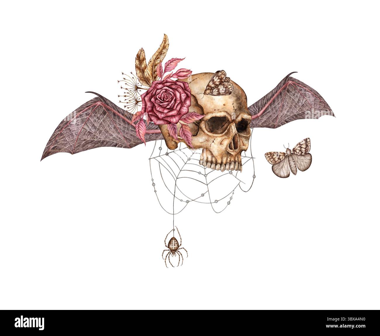 Human skull realistic profile with bat wings rose, spider web and moths ...