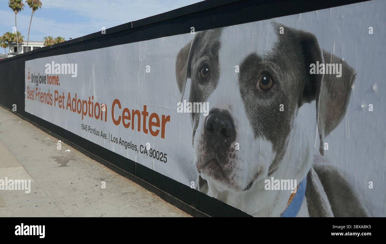 Los Angeles, California, USA 17th July 2025 Best Friends Pet Adoption ...