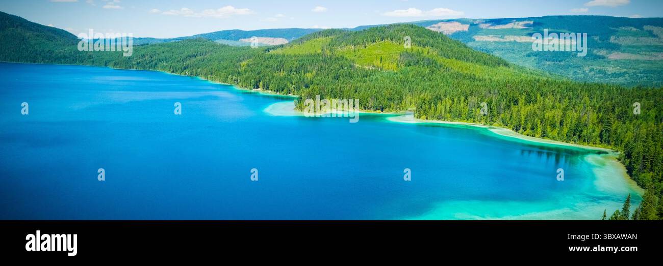 Expansive blue lake is being shown in flat design, with evergreen trees ...