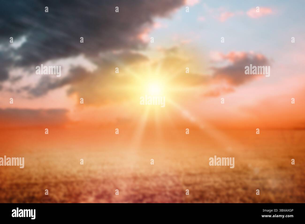 Scenic view of sun shining over field Stock Photo - Alamy